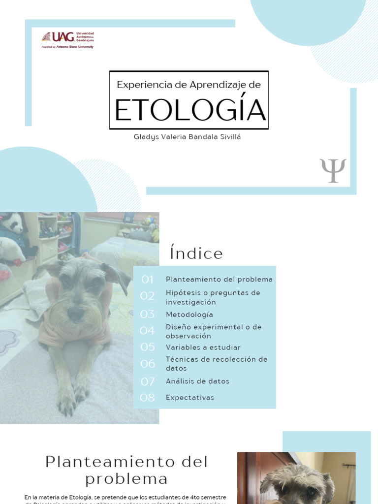 Bandala Gladys Presentación EDA Etología | PDF | Comportamiento | Etología