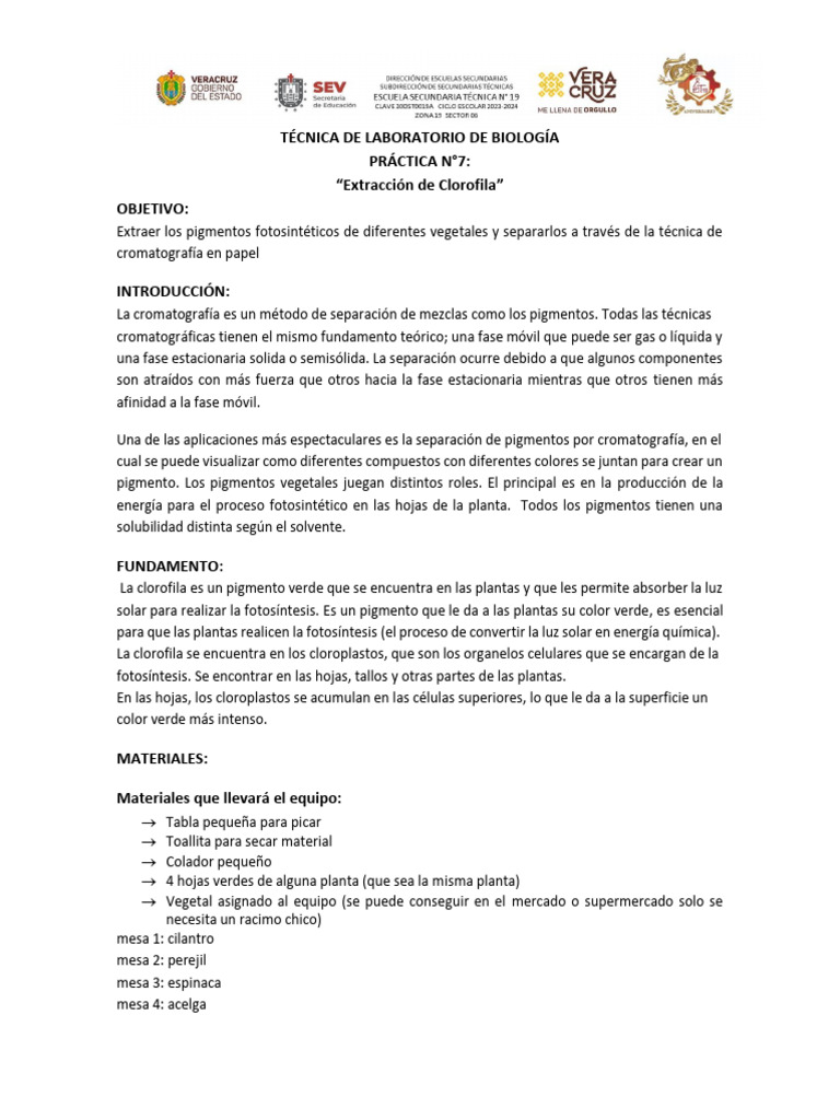 7.extracci-N de Clorofila | PDF | Cromatografía | Plantas