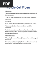 The Structure of Skeletal Muscle (6.3.2) AQA A Level Biology Revision ...