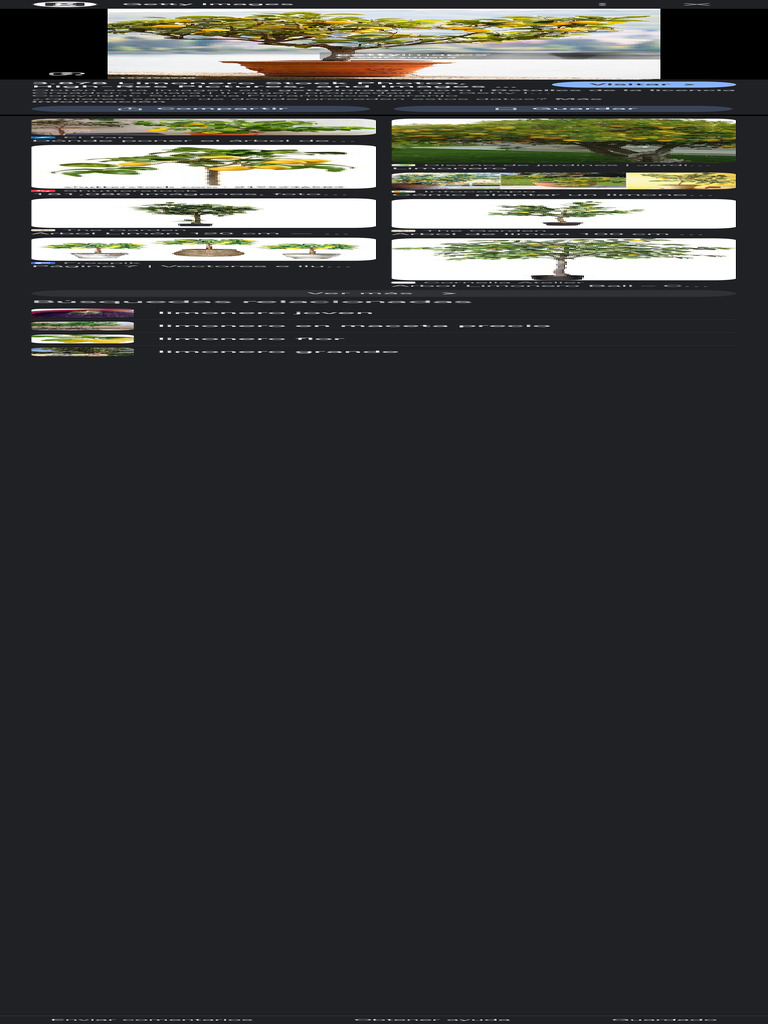 Imágenes de Limoneros en Getty Images | PDF