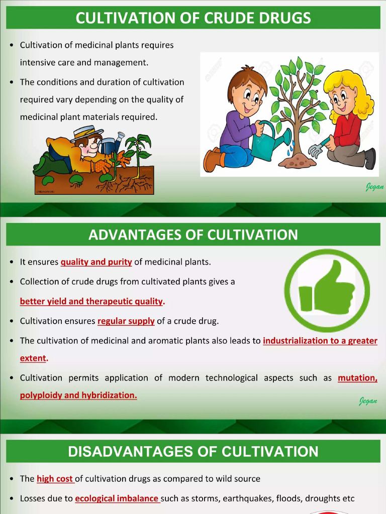 Cultivation and Method of Propagation | PDF