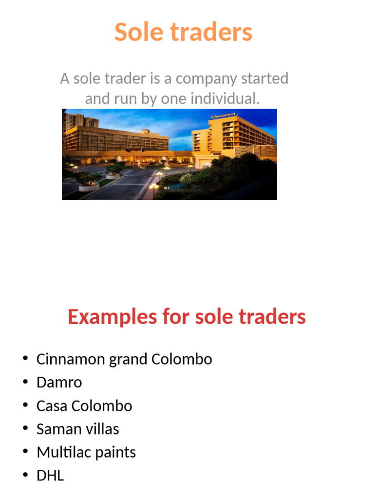 Examples of Sole Trader Businesses | PDF