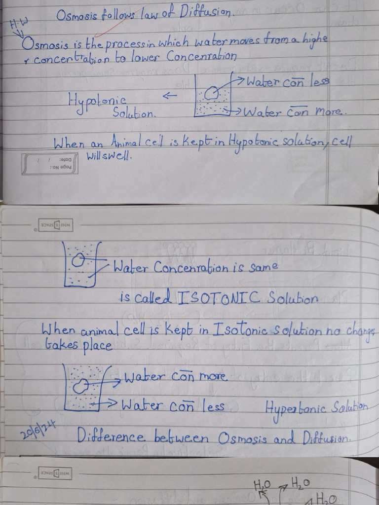GR 9 Science Bio Ls 1 Diagrams | PDF