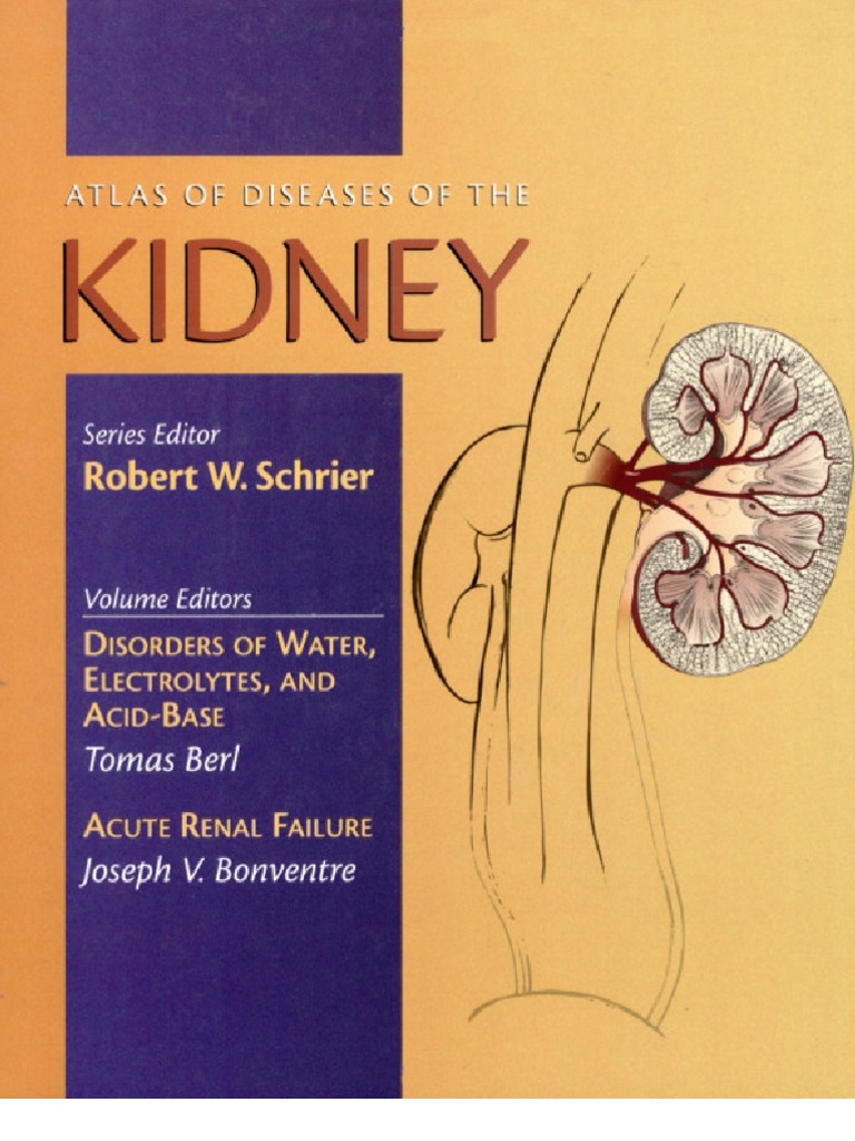 Kidney Atlas | PDF | Animal Anatomy | Science