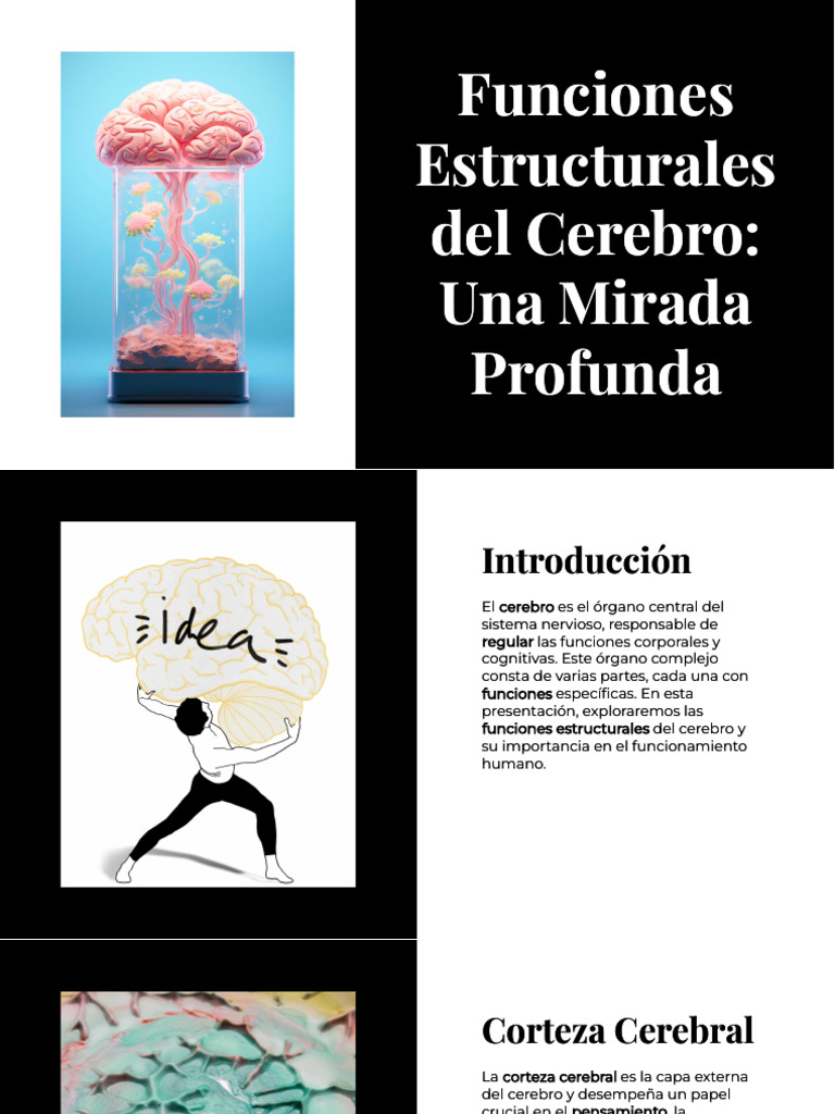 wepik-funciones-estructurales-del-cerebro-una-mirada-profunda-20240408211158Gi9K | PDF | Cerebro ...