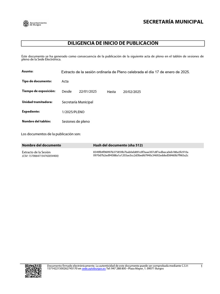 Cert Pub Pleno Ini | PDF
