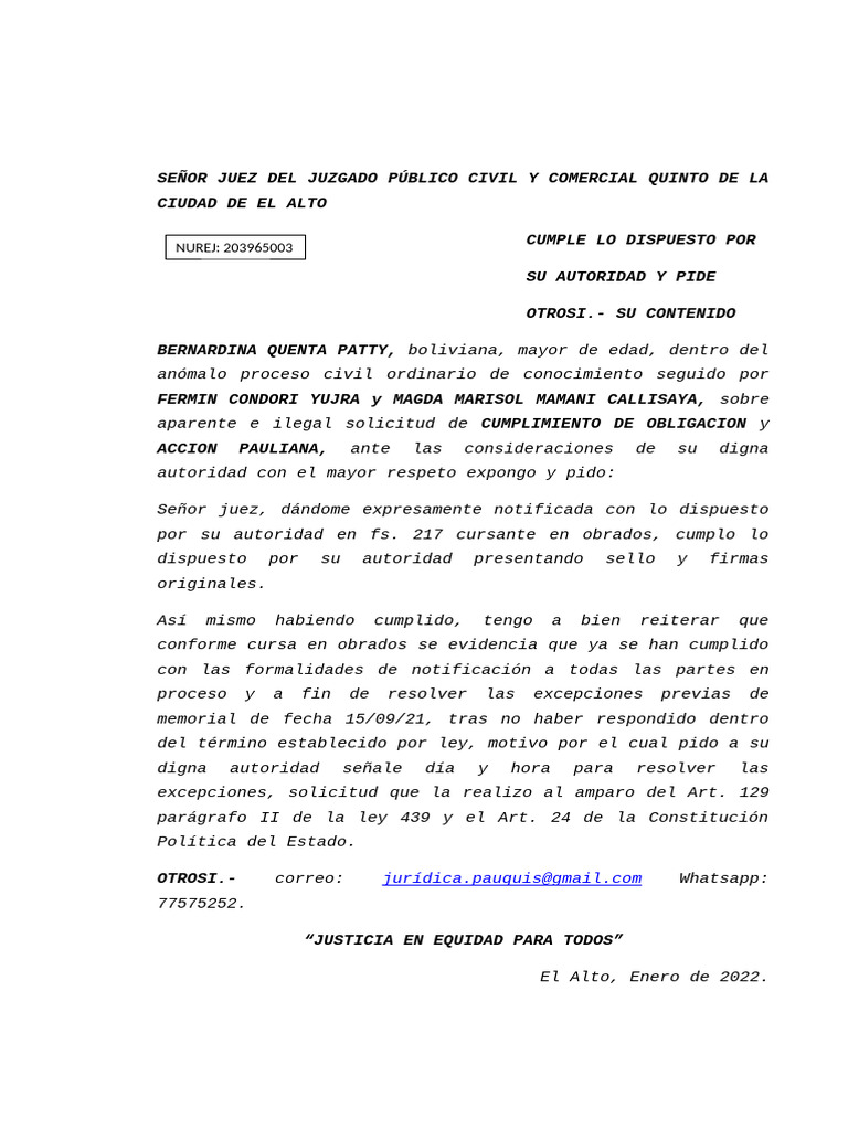 Condori-Quenta Subsana | PDF