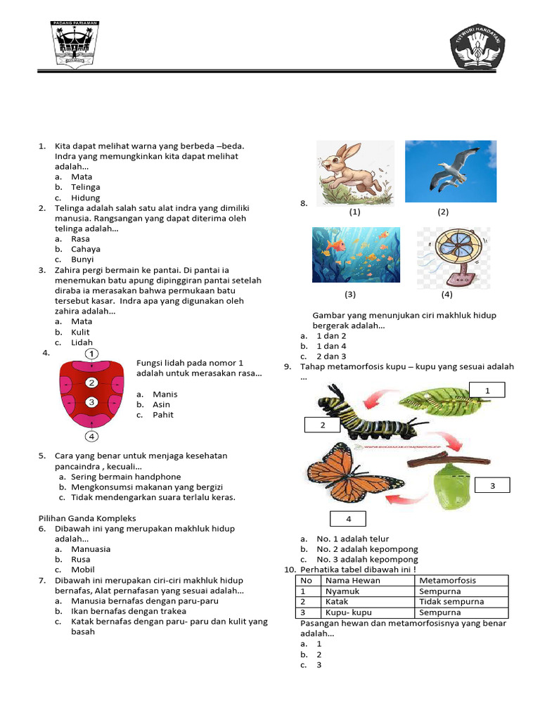 soal SAS IPAS FIKA. (2) | PDF