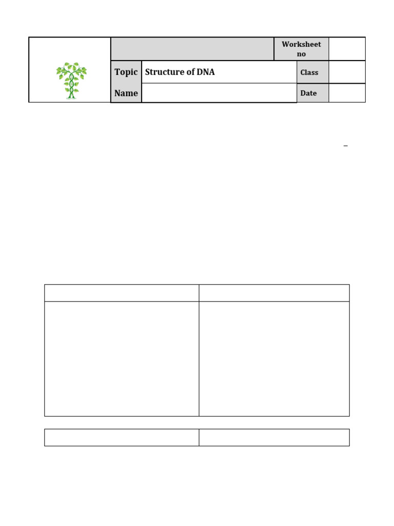 Worksheet 3 Structure of DNA | PDF | Nucleotides | Dna
