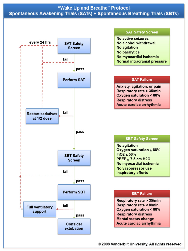 WakeUpAndBreathe_1 | PDF | Respiration | Physiology