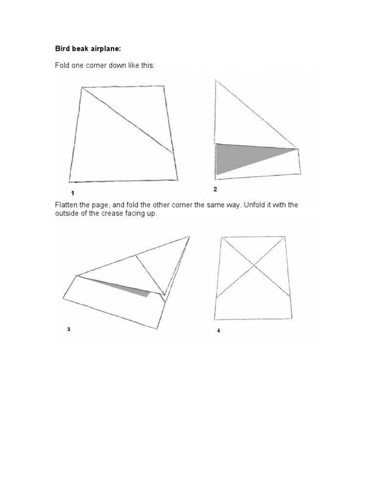 Bird Beak Paper Airplane | PDF | Home & Garden