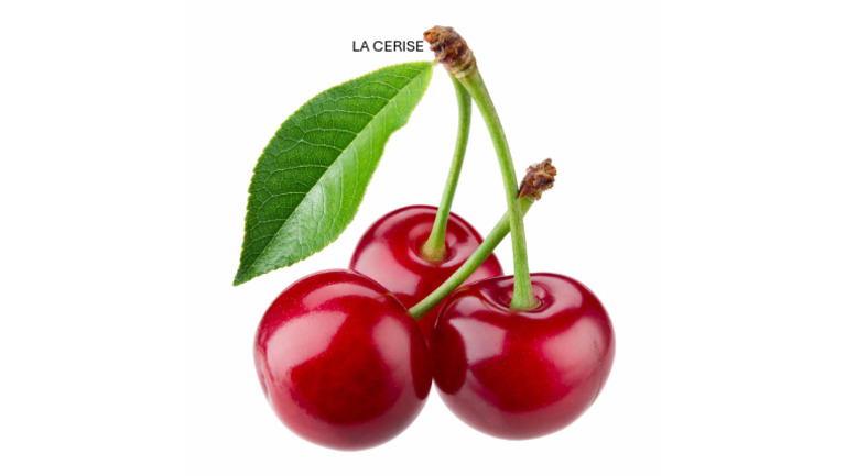 LA Cerise | PDF