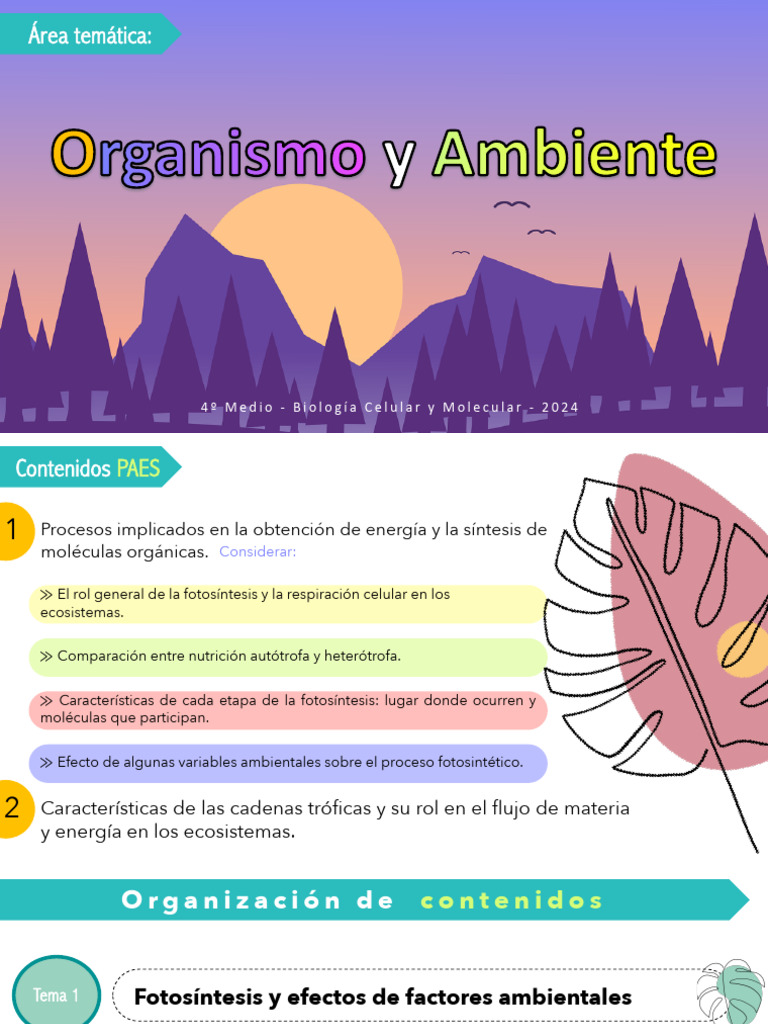 Tema 8 - Organismo y Ambiente | PDF | Respiración celular | Fotosíntesis