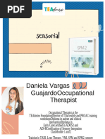 spm-2 Quick Tips Intervention Report Sample | PDF | Emotional Self ...