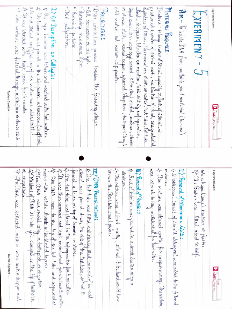 Biology Practical Write Up - XII 2025 | PDF | Pollen | Sex