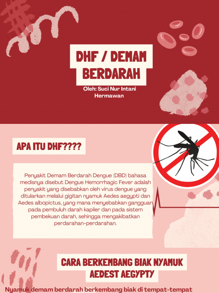 DHF | PDF