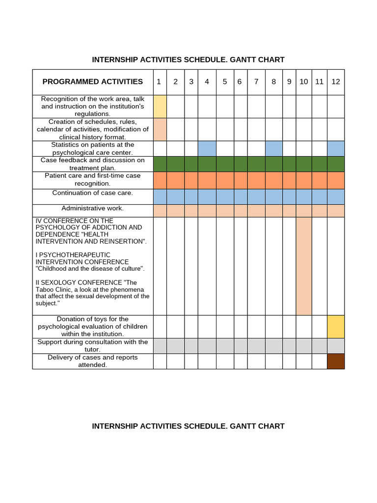 Internship Activity Schedule | PDF