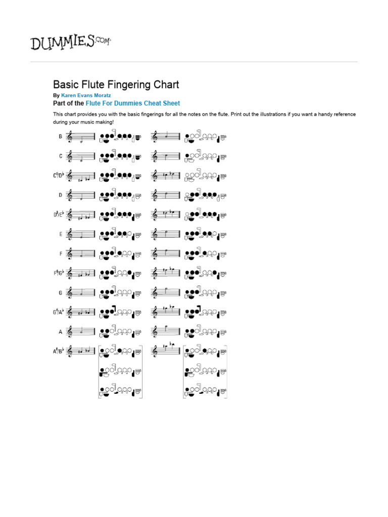 Basic Flute Fingering Chart For Dummies | PDF