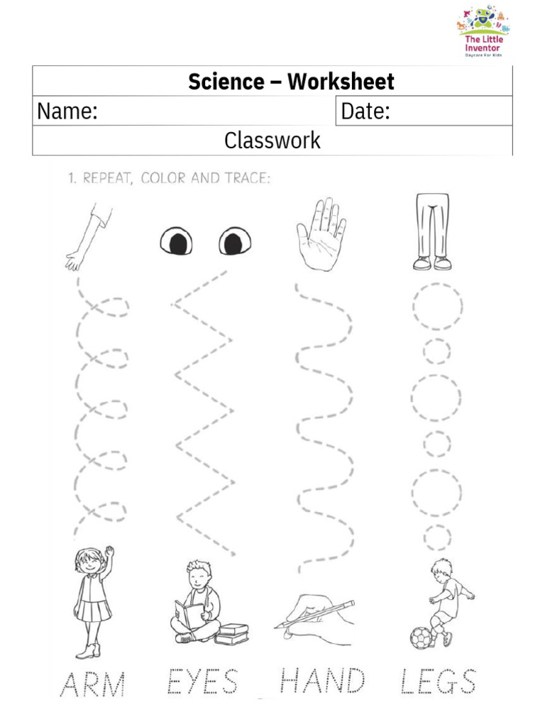 Science Worksheets KG-2B.pdf - 20240831 - 101302 - 0000 | PDF
