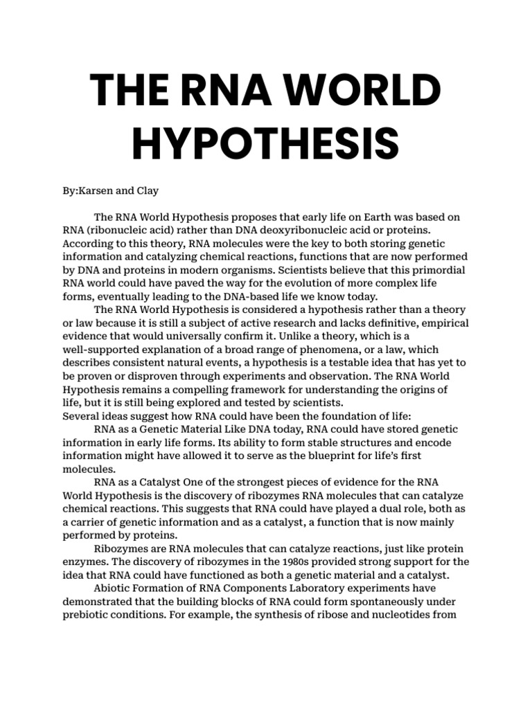 RNA World Hypothesis Explained | PDF | Rna | Abiogenesis