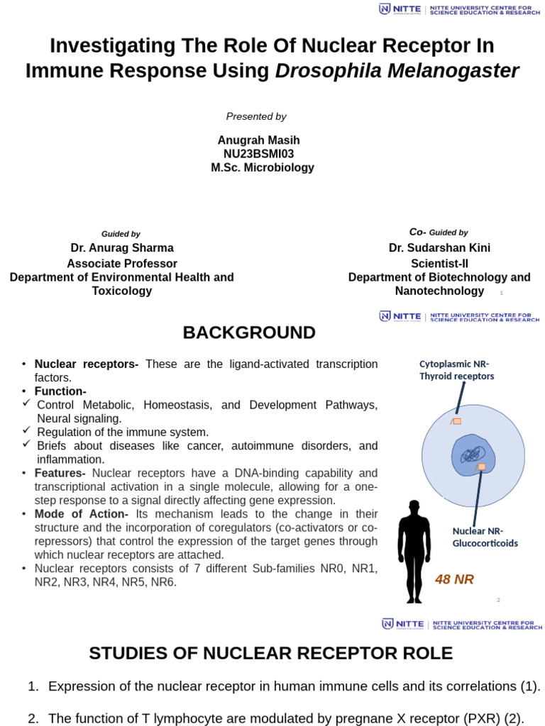 Final Presentation | PDF | Drosophila Melanogaster | Immune System