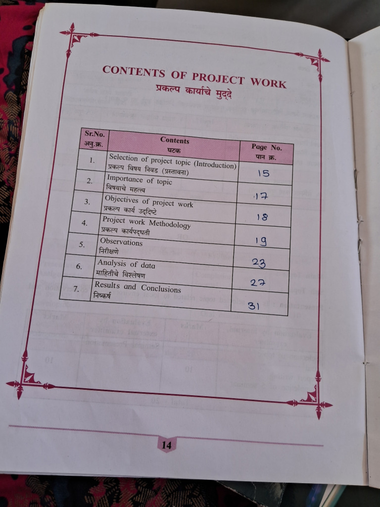 12th EVS Project | PDF
