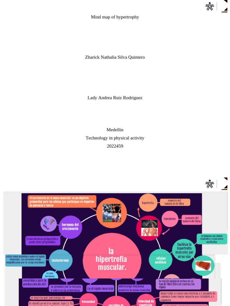 Mind map of hypertrophy | PDF