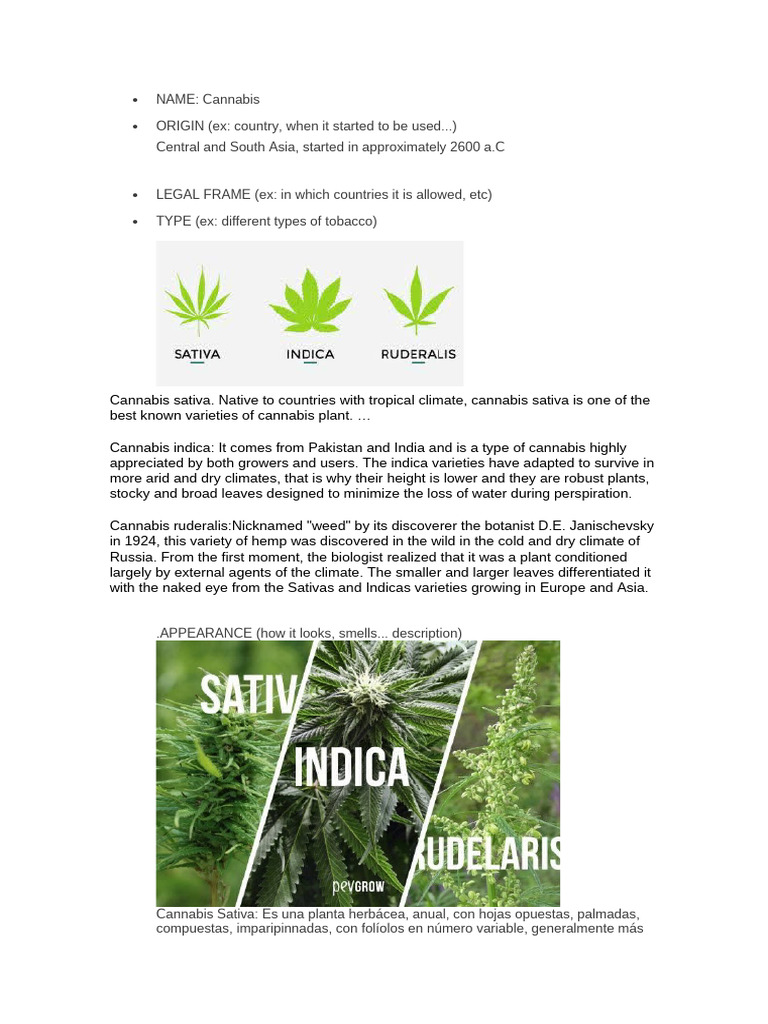 Cannabis | PDF | Cannabis | Psychosis