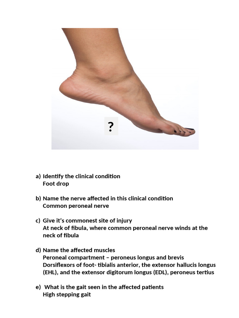Lower Limb Clinical Charts-R | PDF | Foot | Knee