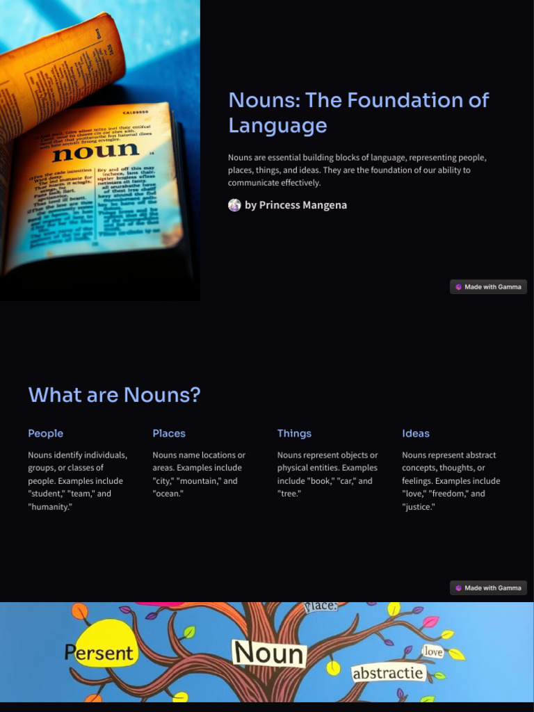 Understanding Nouns in Language | PDF | Noun | Plural