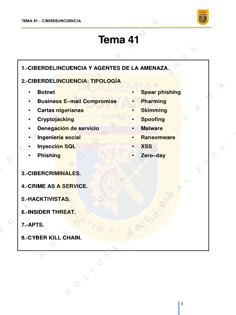 TEMA 41 - CIBERDELINCUENCIA - Anti | PDF