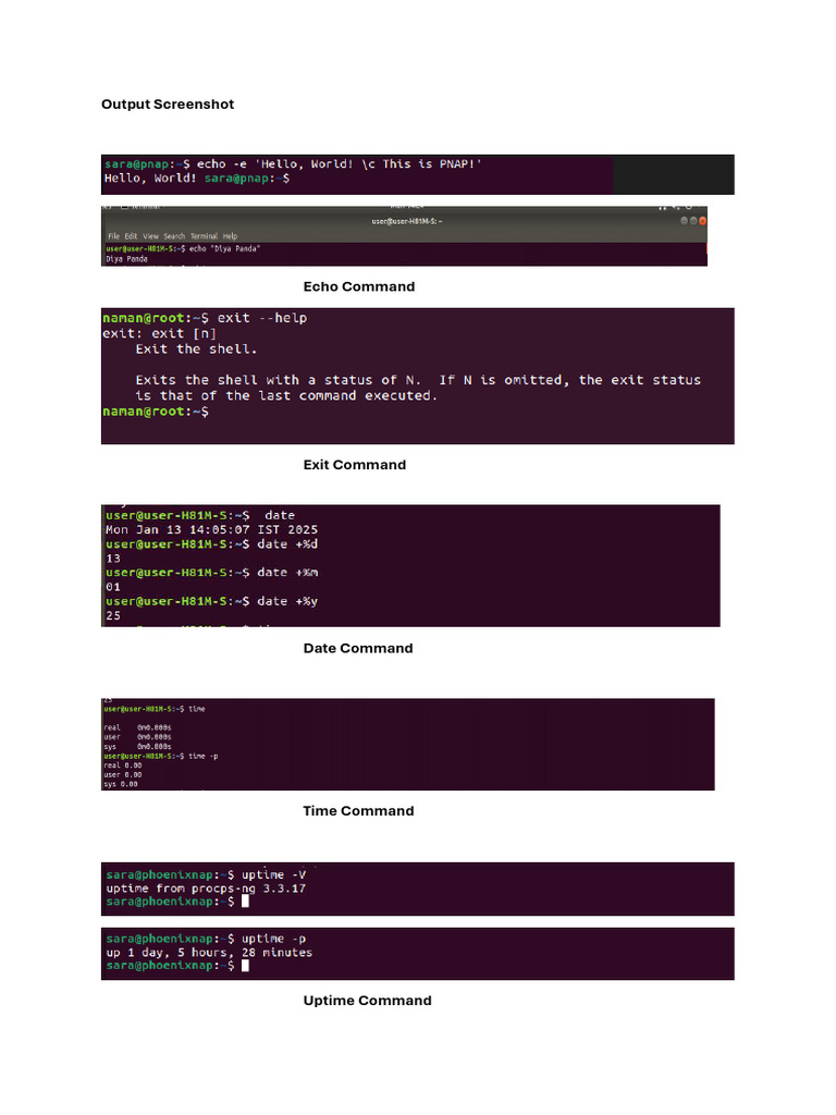 Output Screenshot | PDF