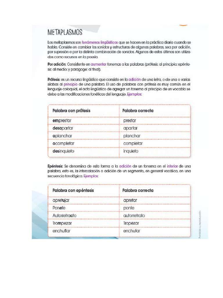 Los Metaplasmos | PDF