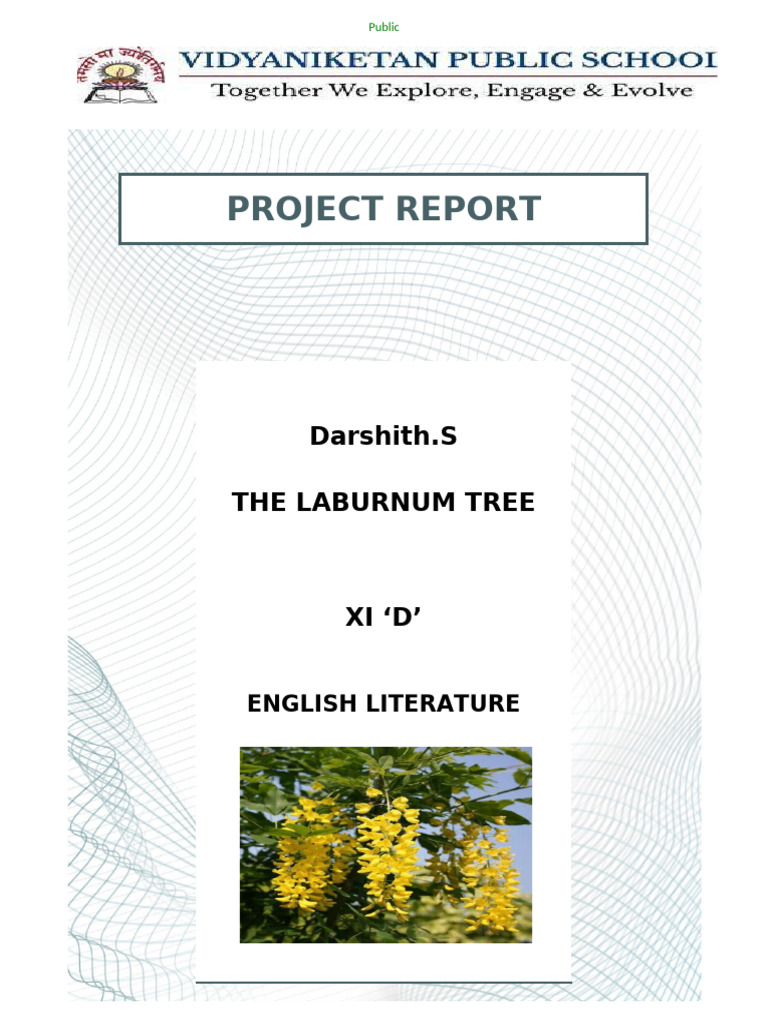 English Project Report | PDF