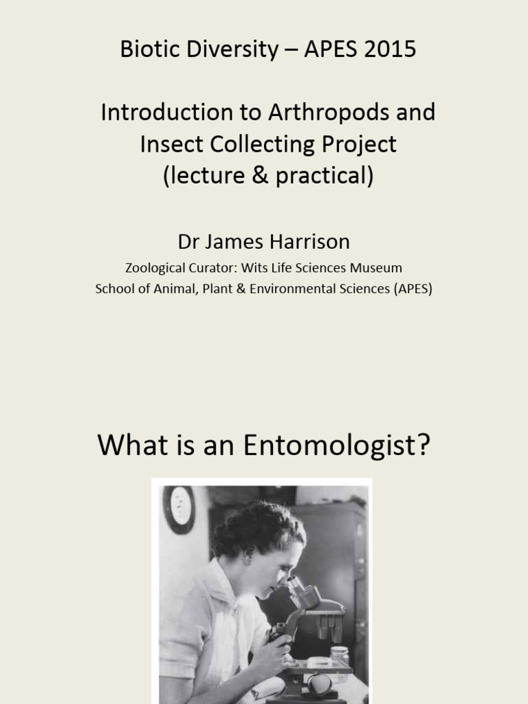 Arthropod Insect Collection Guide | PDF | Zoology | Insects