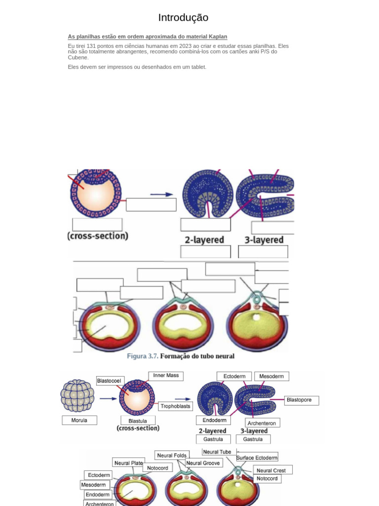 Planilhas de Ciências Comportamentais Do MCAT | PDF | Sistema visual ...
