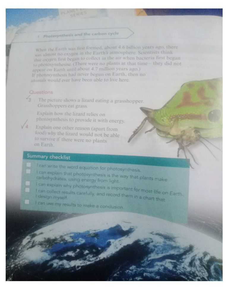 PDF Gallery - 20250129 - 224158 | PDF