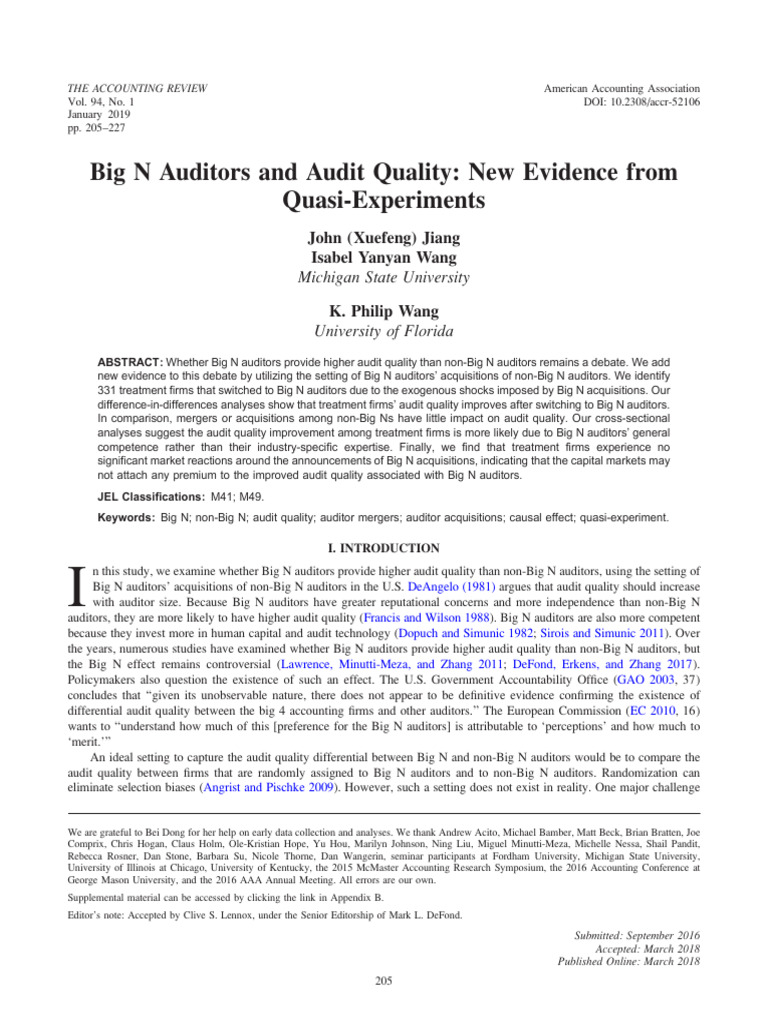 Big N Auditors and Audit Quality Insights | PDF | Audit | Mergers And ...