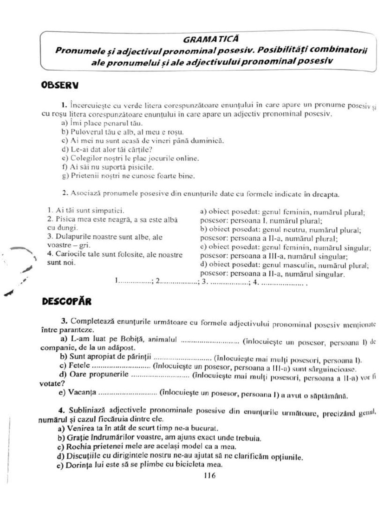 Comper Vii Pronume | PDF