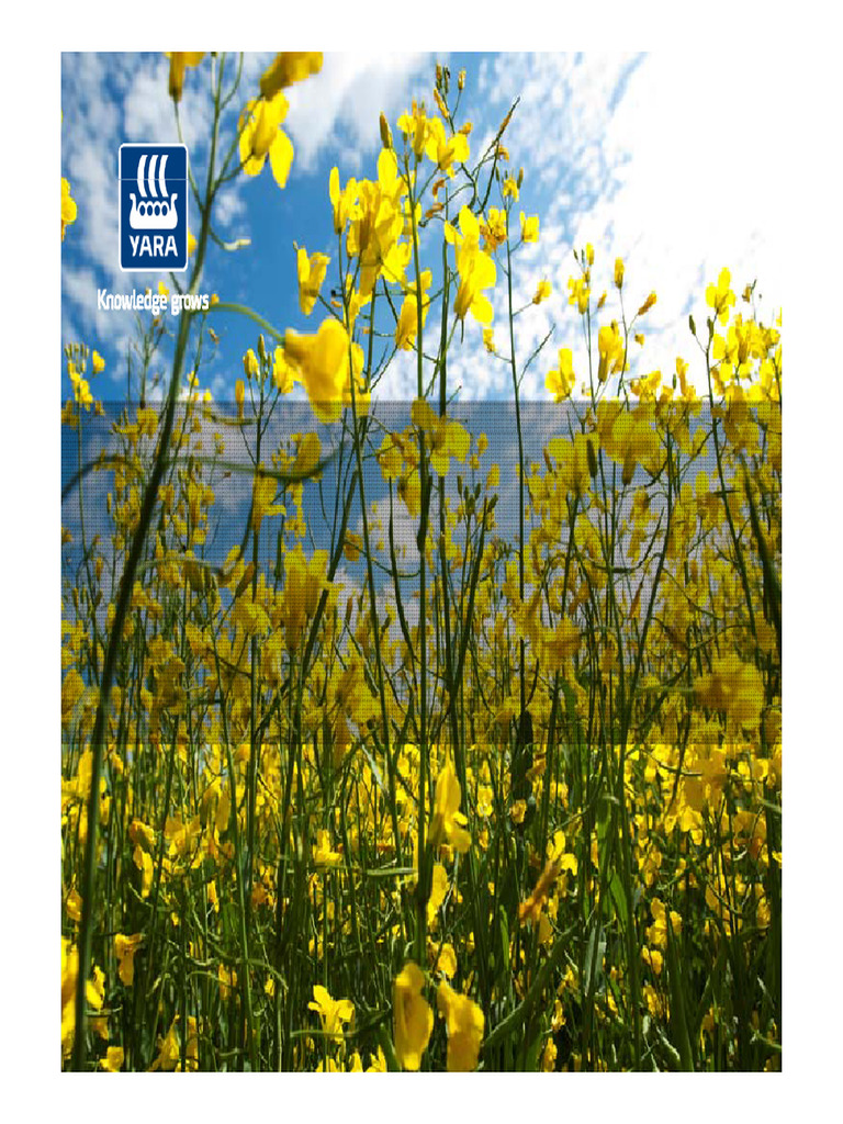 Yara Fertilizer Industry Overview Guide | PDF | Fertilizer | Agriculture