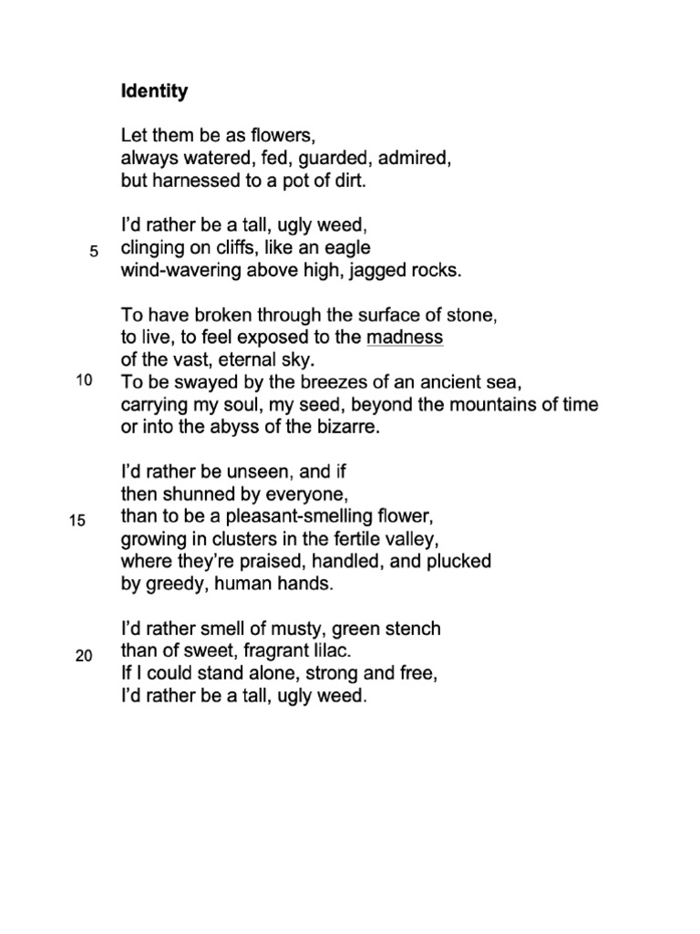 Identity Poem | PDF