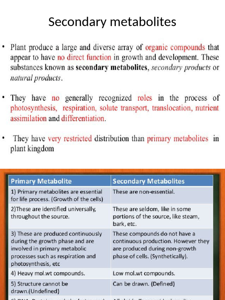 Secondary Metabolites | PDF