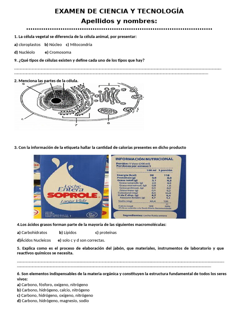 Examen de Ciencia y Tecnología Iii | PDF