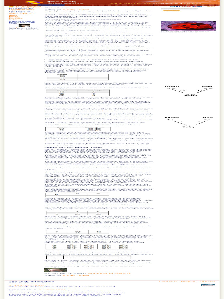 Understanding Genetics | PDF | Genetics | Biology