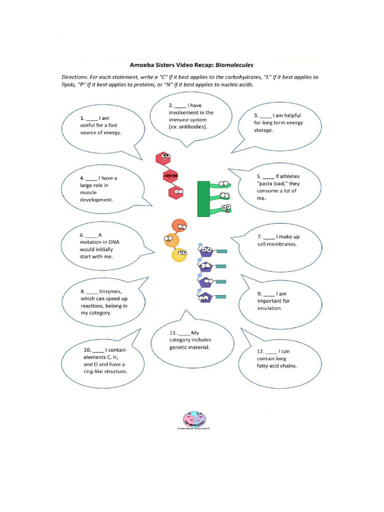Amoeba Sisters Biomolecules | PDF