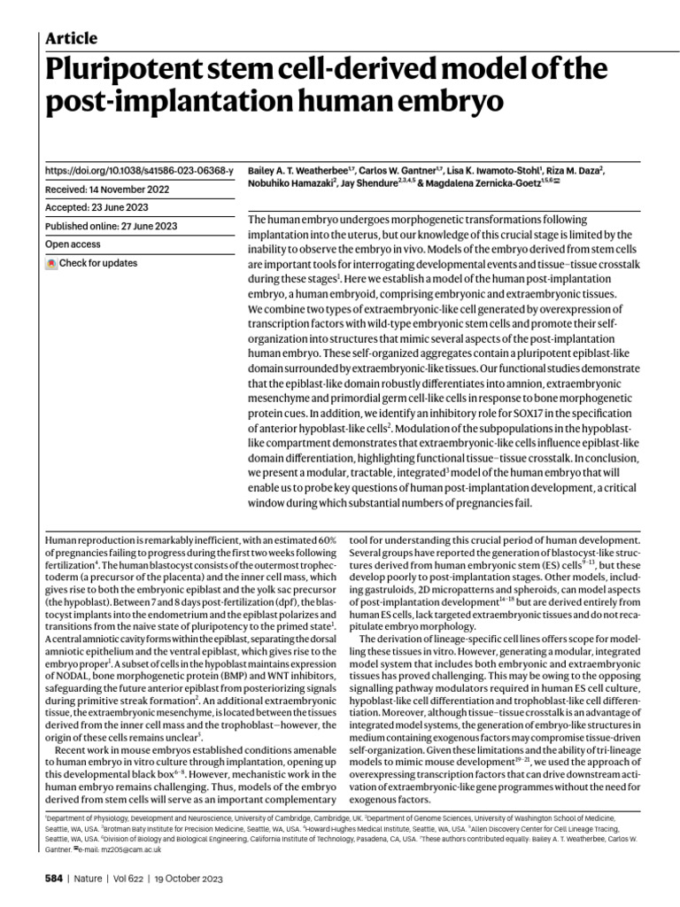 Pluripotent Stem Cell-Derived Model of The Post-Implantation Human Embryo | PDF | Cell Potency ...