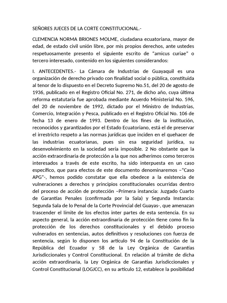 Amicus Curiae sobre Acción de Protección | PDF | Caso de ley | Debido ...
