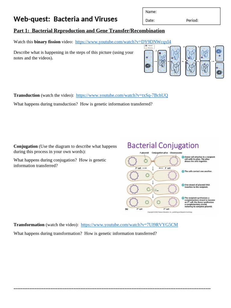 Bacterial Reproduction and Virus Overview | PDF | Virus | Hiv