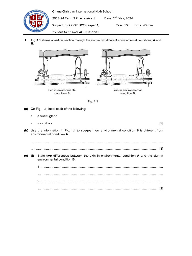 2024 TERM 3 10S PROGRESSIVE 1 | PDF 2024 TERM 3 10S PROGRESSIVE 1 | PDF