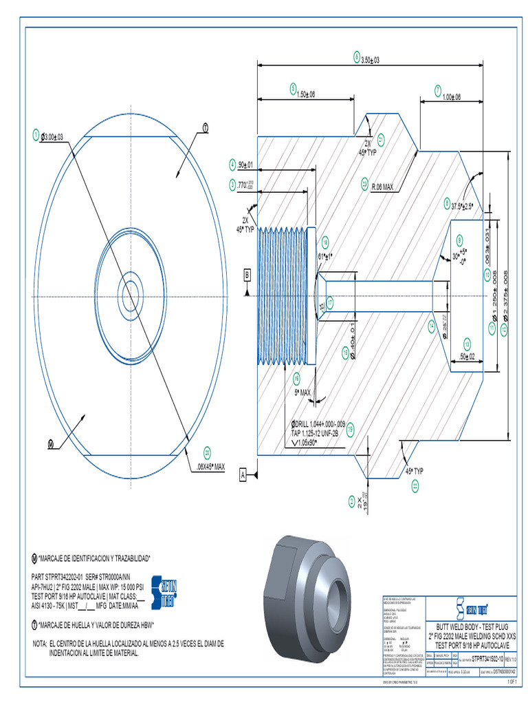 Body Test Plug 2 Fig 2202 WLDG | PDF